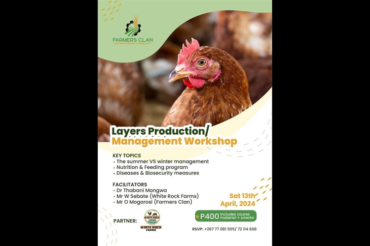 LAYERS PRODUCTION / MANAGEMENT WORKSHOP