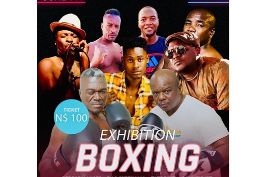 Harry Simon vs. Ninja Boxing Bonanza: The Rematch